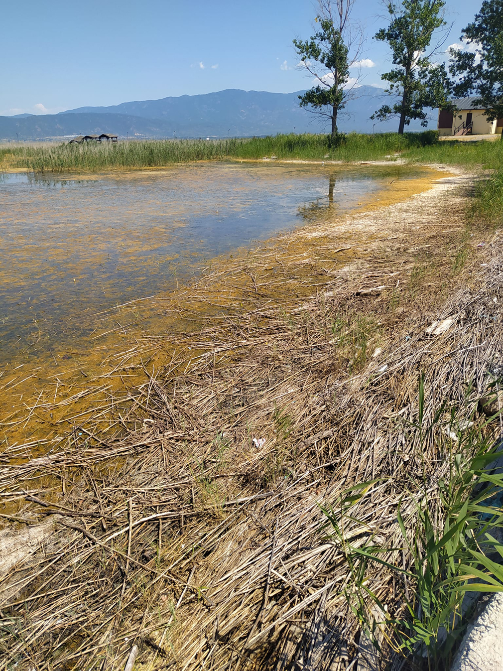 Αφημένη στην τύχη της η λίμνη της Δοϊράνης (Φωτογραφίες-Βίντεο) – ΜΑΧΗΤΗΣ